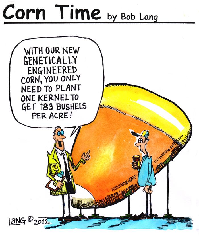 Summer Food Part II: Corn • Pantry Paratus